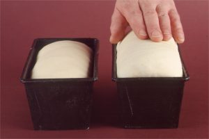 Bakery Ingredients, Bread Improvers & Premixes | Lesaffre AU