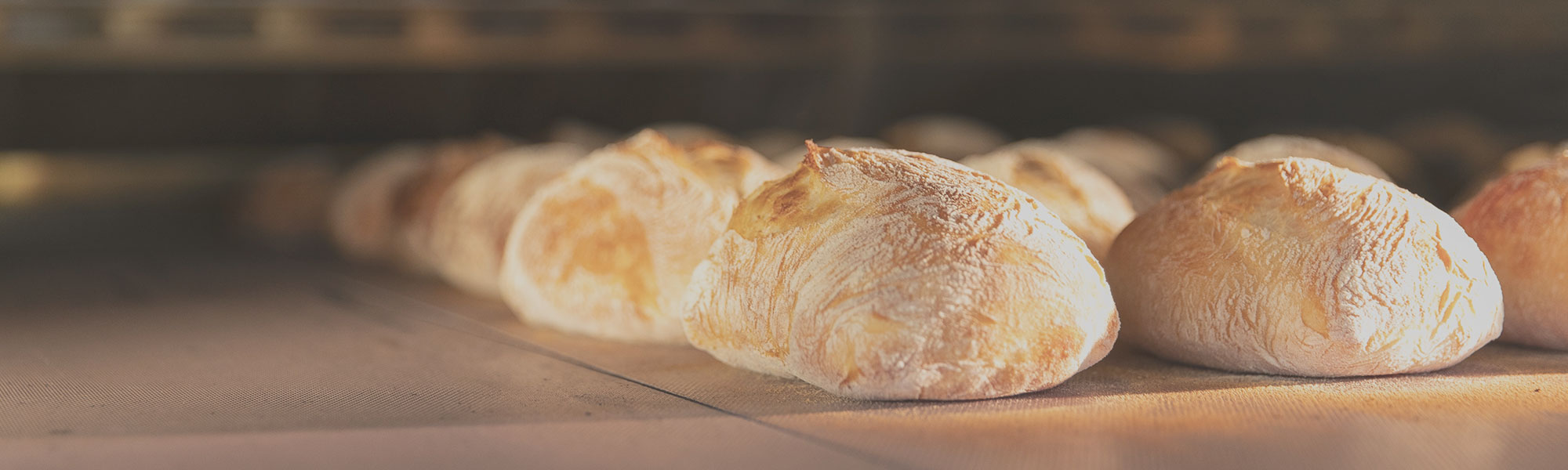 Bakery Yeast, Bread Improvers & More | Lesaffre AU